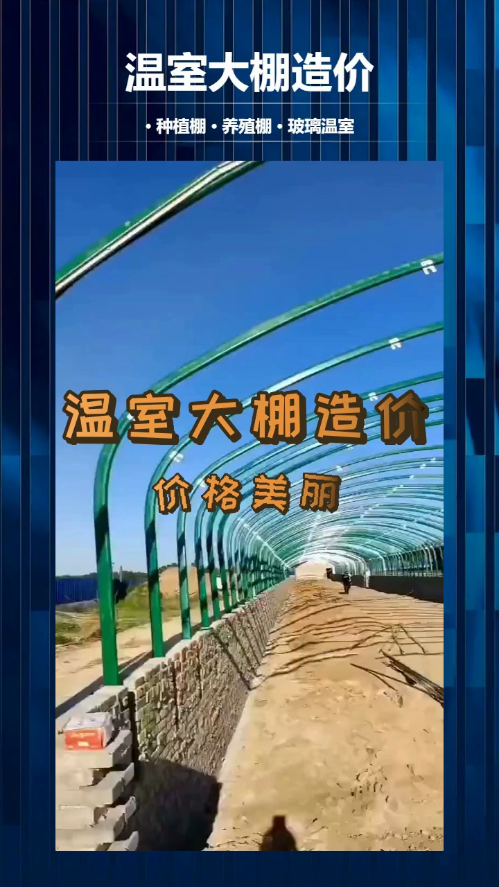 ...多少钱?连栋温室大棚,养殖大棚造价,质量好! #种植棚 #镀锌管生产厂家