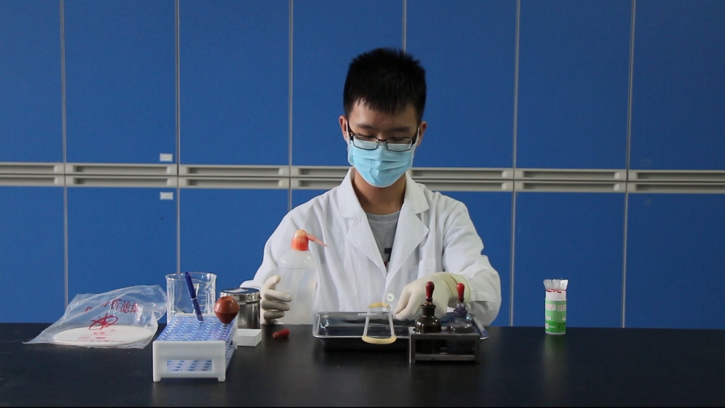 白细胞分类计数