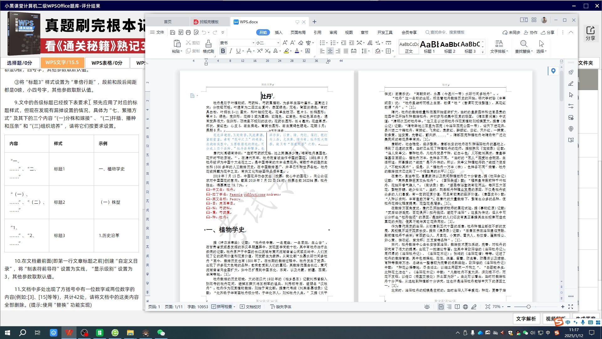 10WPS如何设置标题样式
