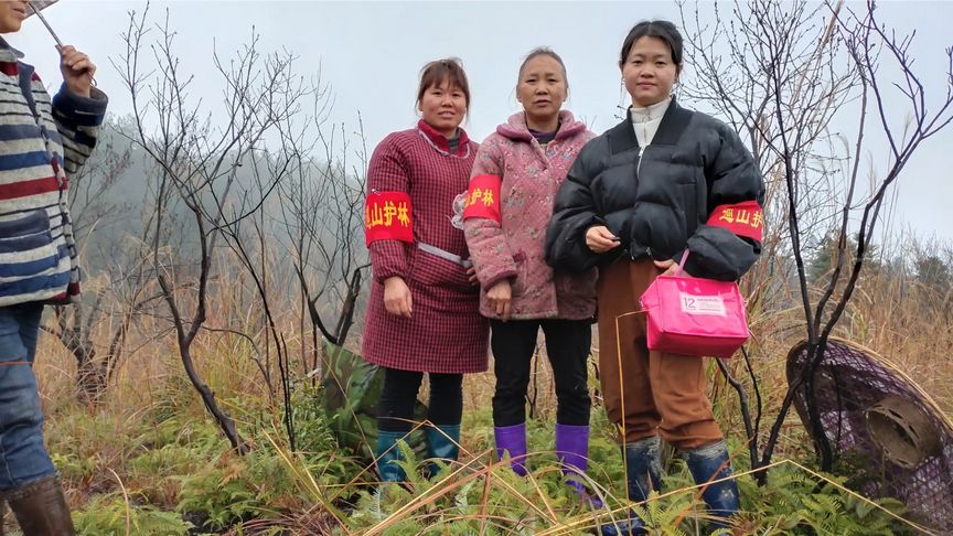 农村护林工作雨天还要上坡去,栽种树苗先准备 森林防火要注意