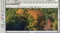 flash动画制作教程视频1.2