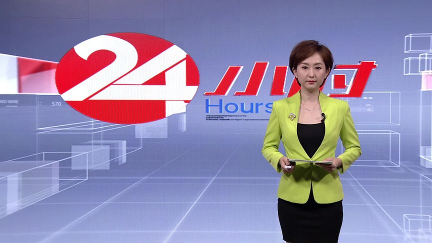 芦淞区人民法院:行政案件集中管辖第一案开庭