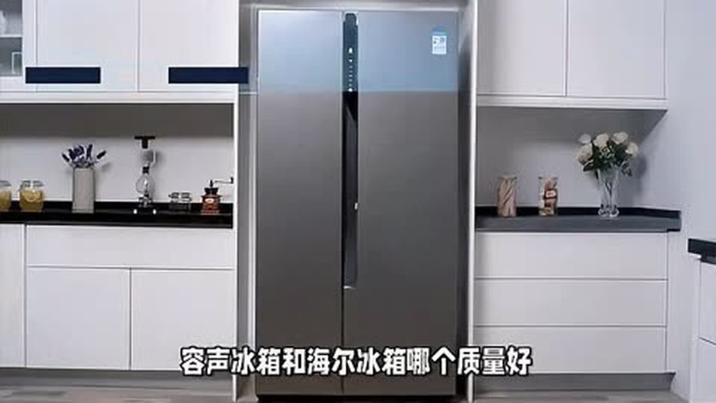 家电专家支招:面对容声冰箱和海尔冰箱哪个质量好,如何抉择