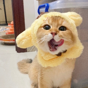 潘仕清 