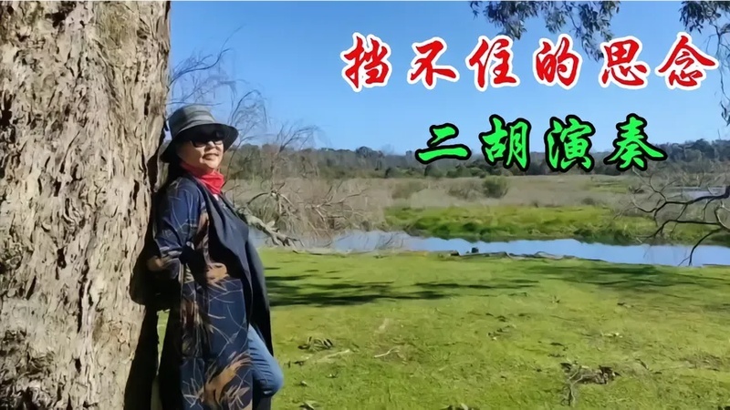二胡演奏《挡不住的思念》,旋律优美,令人回味无穷