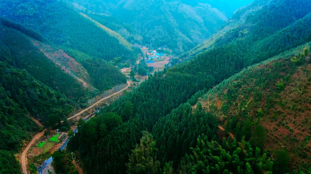 蓝山县汇源瑶族乡村民自制视频宣传家乡产业!助力乡村振兴!石蛙养殖...