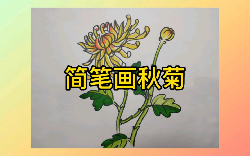 简笔画秋菊,一起来画简笔画吧。