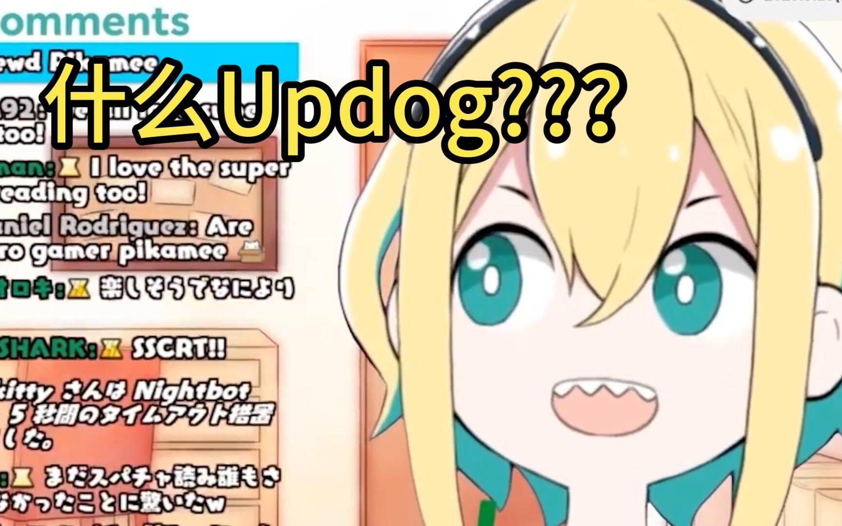 【熟/Pikamee】pika:什么是updog?