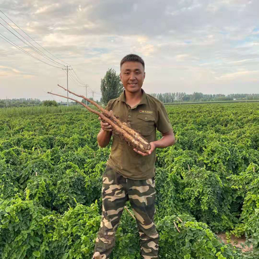 小波修地球 