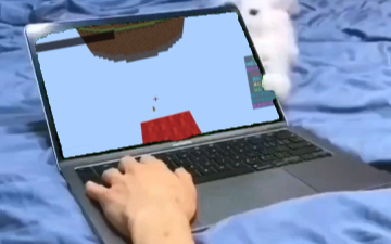 猫猫!我的电脑!…高端的食材!