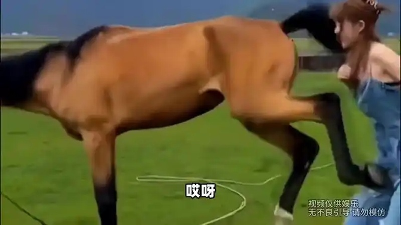 盘点憨憨的倒霉瞬间