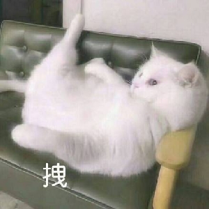 草喂兔 