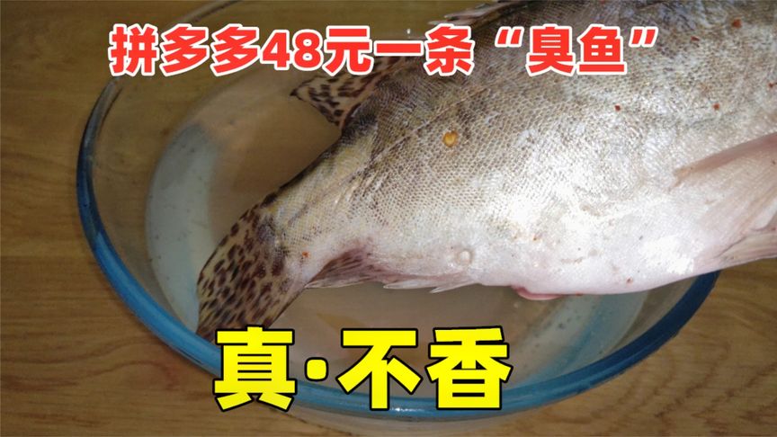 拼多多48元一条“臭鱼”,臭到上头!