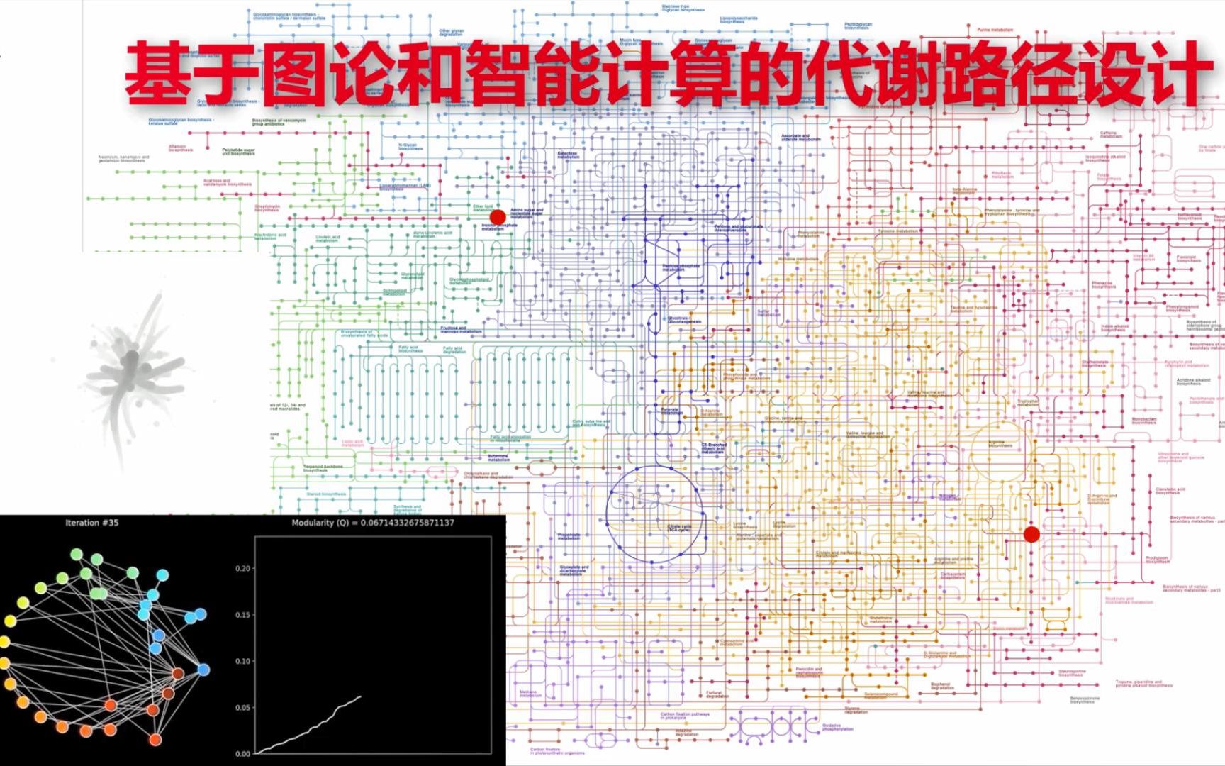 基因组尺度可视化与通路设计