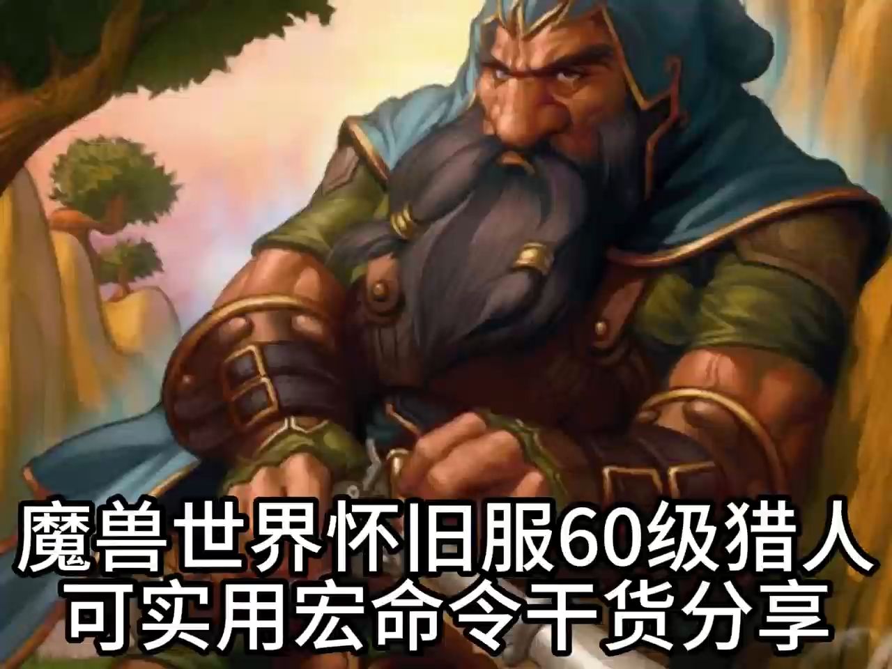 干货分享,魔兽世界1-60级怀旧服猎人精品宏分享