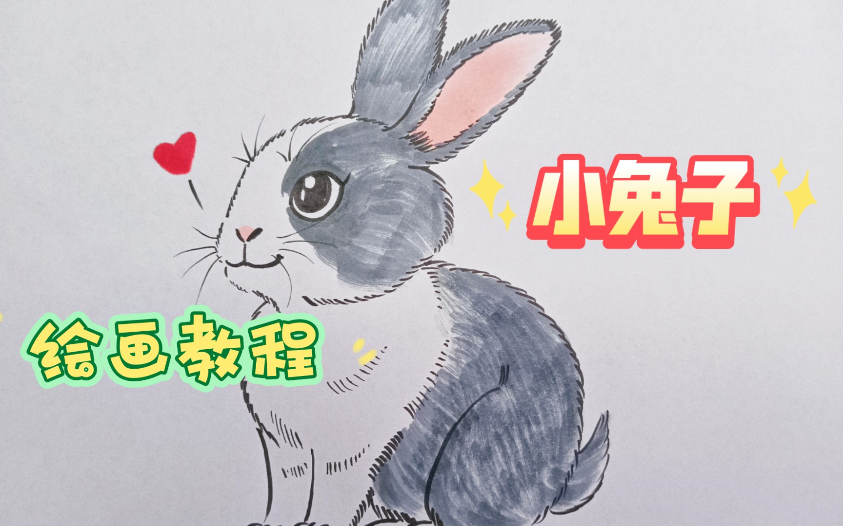 【动物】绘画教程,画一只小兔子。