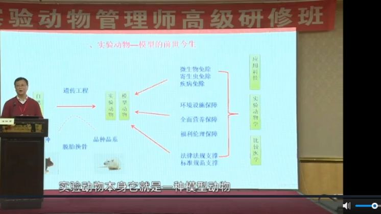 实验动物模型的选择