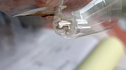 比亚迪海豚骑士版贴玻璃膜注意事项
