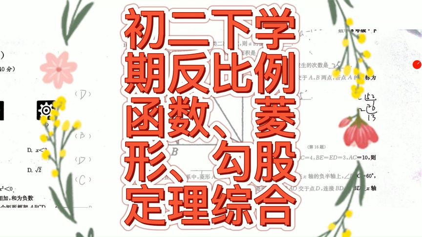 【数学】初二下学期反比例函数菱形勾股定理综合,考前练习