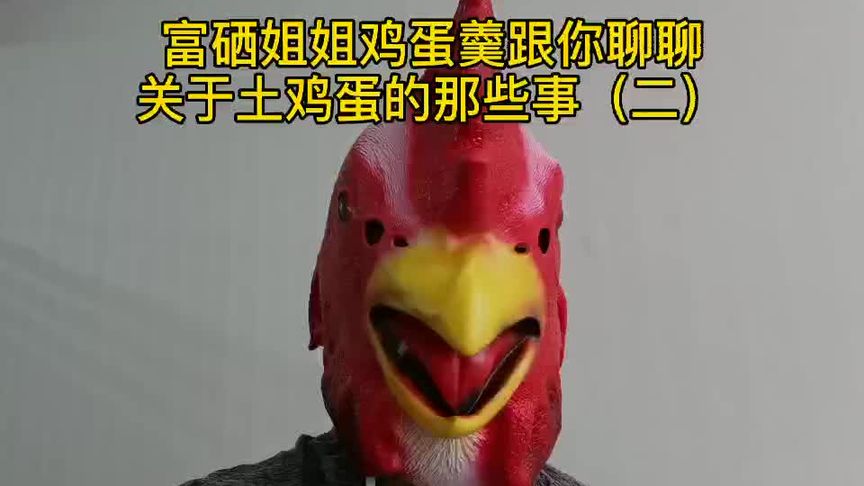 富硒姐姐鸡蛋羹跟你聊聊关于土鸡蛋的那些事(二)