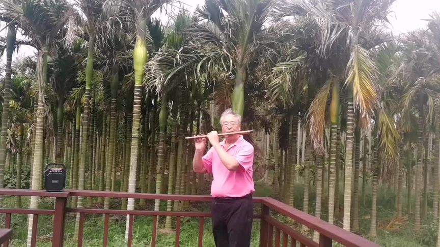 离开海南的前一天,来到农业园吹奏一首《单簧管波尔卡》。