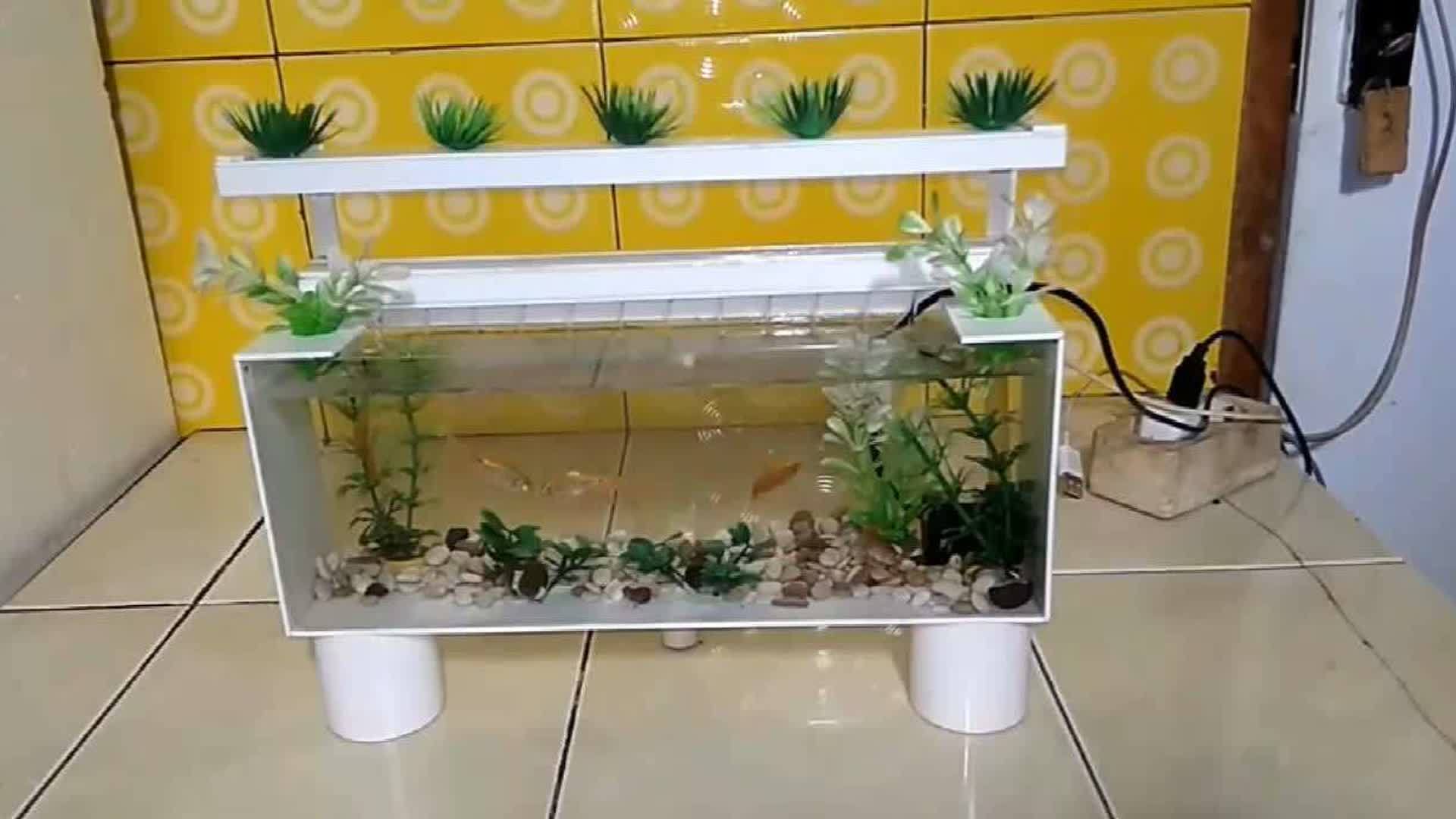 PVC管做景观鱼缸,几十块做出上千元的效果,这创意我给满分