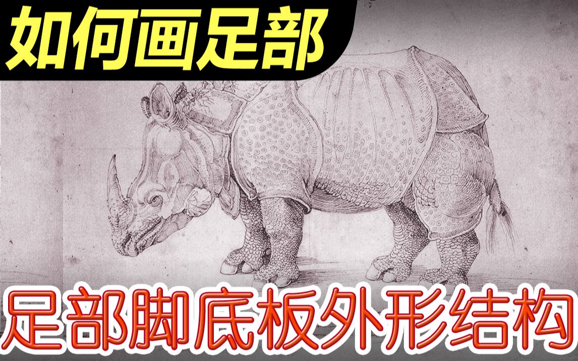 足部写生:脚底外形结构有何特征?如何刻画脚底板?如何画足部19