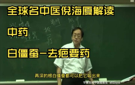 238、倪海厦解读中药【白僵蚕】去疤要药