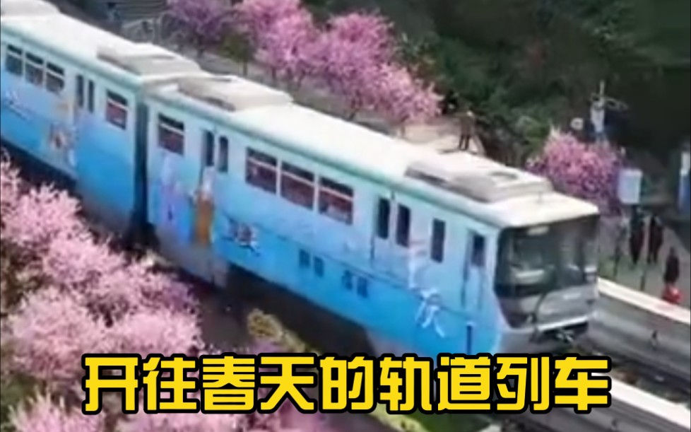 穿越花海!重庆开往春天的列车来了!