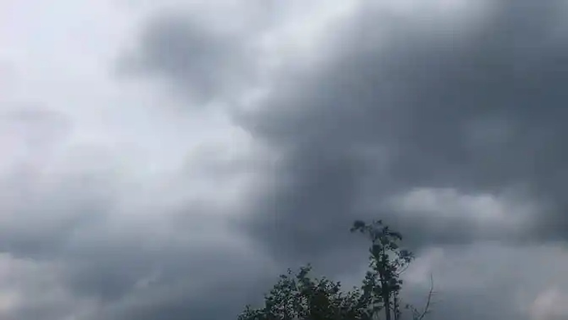 现场实录洪水冲毁村庄的视频