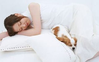 【北京大学】病理生理学ー杨吉春