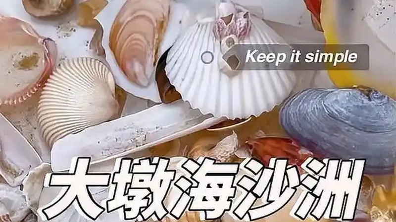 大墩海沙洲 沙洲中段贝壳不少的,潮高2米以下,导航海神广场,面朝大海...