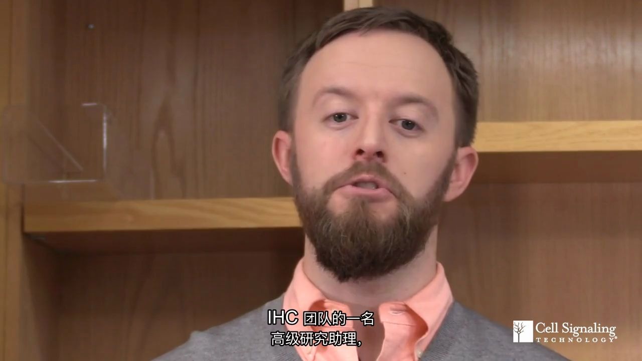 【免疫组化/IHC】如何在实验中加入细胞沉淀物对照