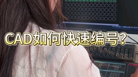 CAD如何快速编号?