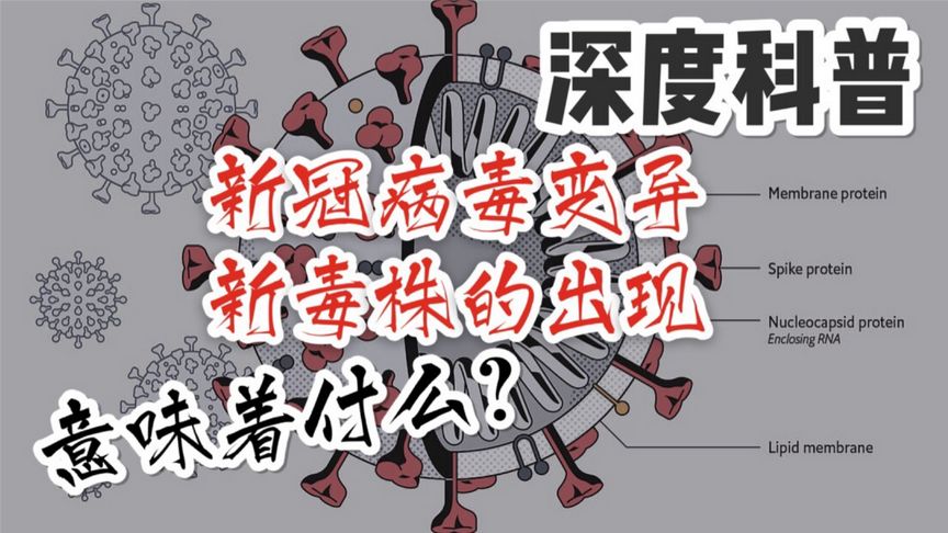 新冠病毒变异和新毒株的出现,意味着什么?生物博士给你深度科普