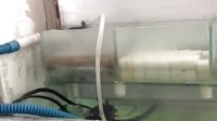 自粘鱼缸及DIY鱼缸过滤器