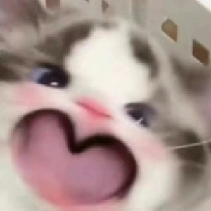 常久体育 