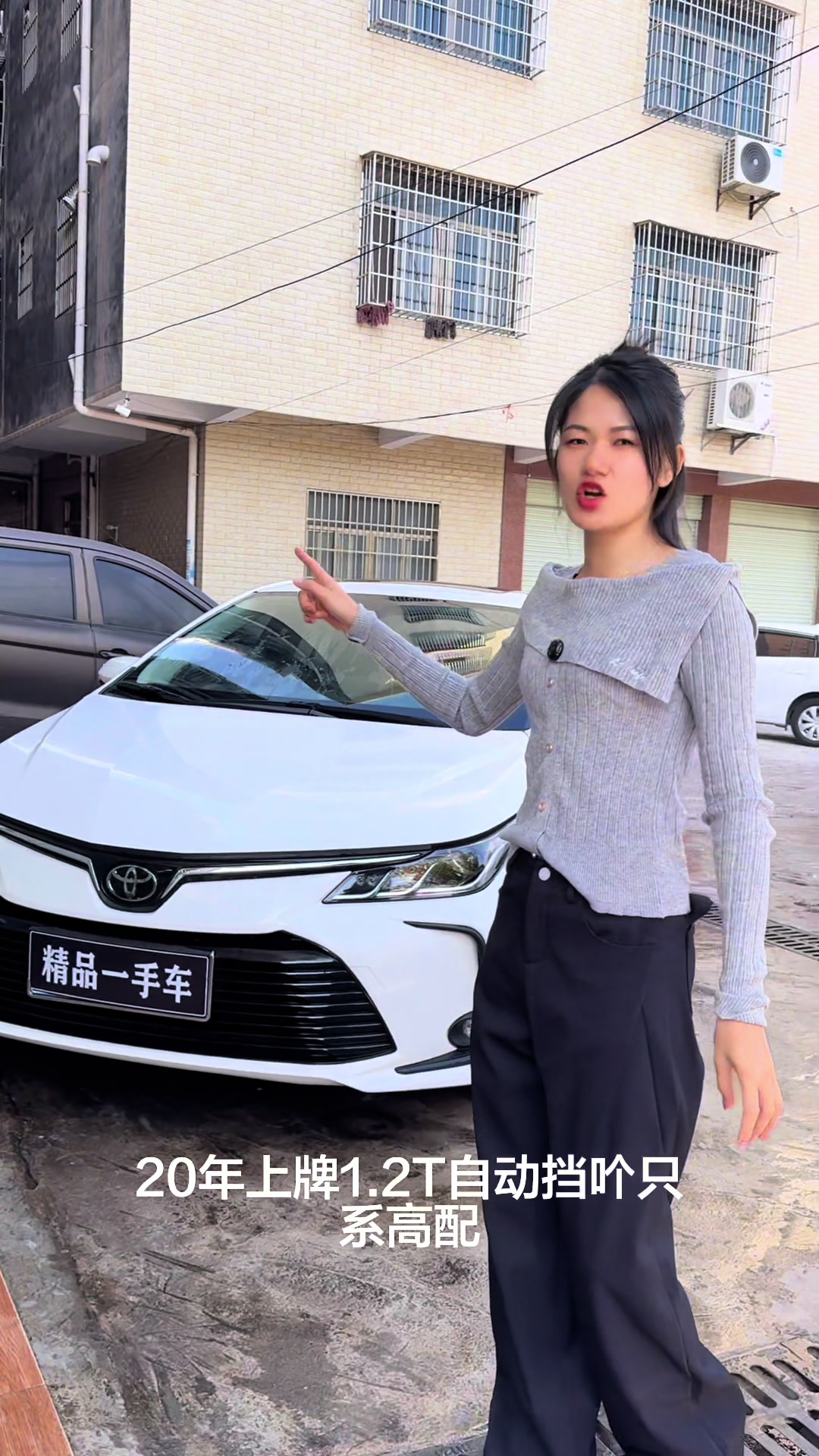 #丰田卡罗拉 卡罗拉来了