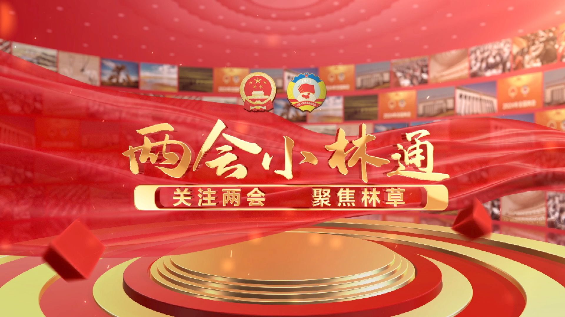 2024《两会小林通》第六期:关注两会·聚焦林长制