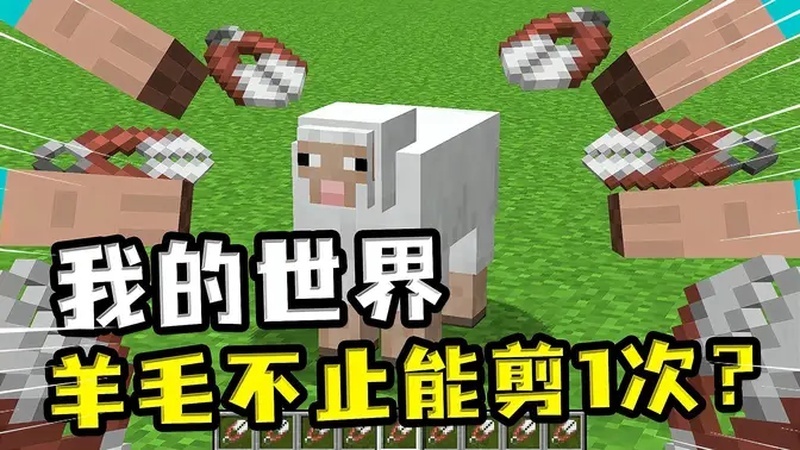 我的世界:羊不止能剪1次毛?多剪几次羊会消失,羊毛能召唤巨兔