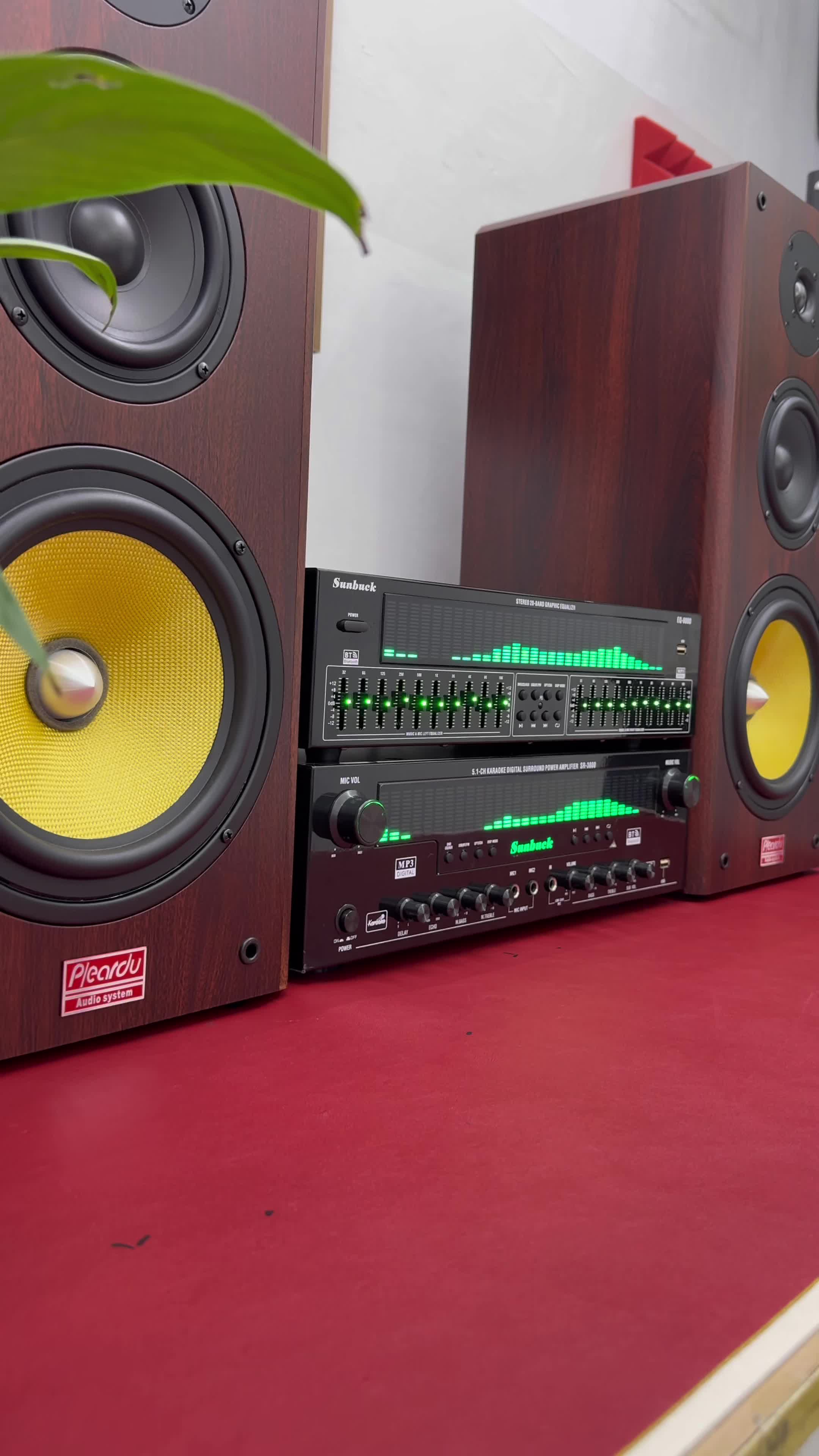 加上EQ均衡器以后音质太棒了。#均衡器