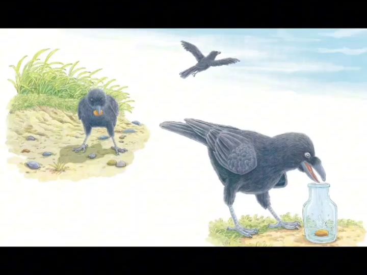 《乌鸦喝水》绘本视频(中二班许铱诺)
