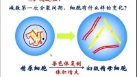 专题8.1 减数第一次分裂的过程-微视频