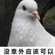 吾问无为谓玩玩 