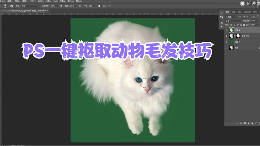PS教程之快速抠图动物毛发技巧