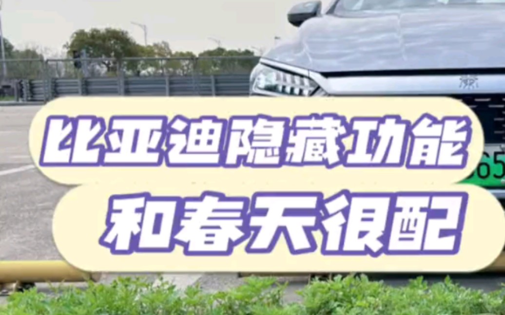 比亚迪秦plusdmi的这些功能真的和春天很配