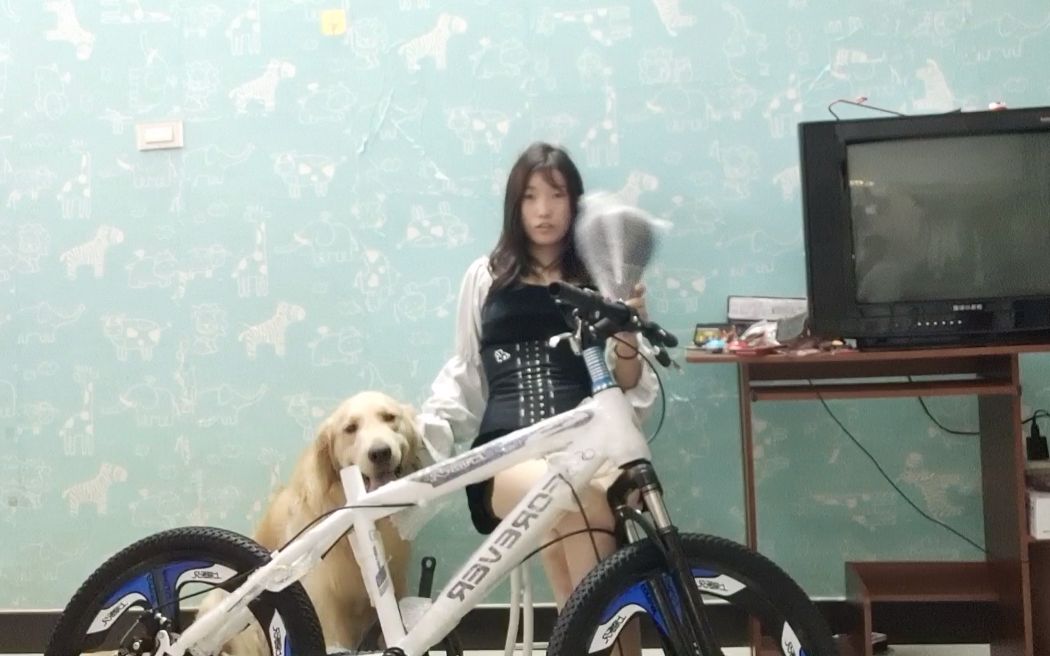 听说学会自行车再学电瓶车就会骑,在网上买组装自行车,看着很酷