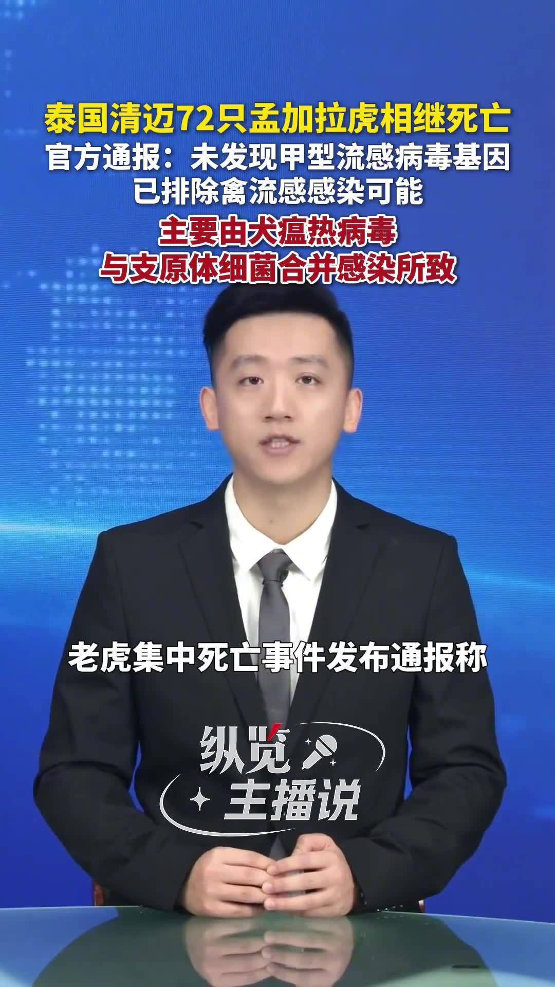 泰国官方通报清迈72只老虎死亡