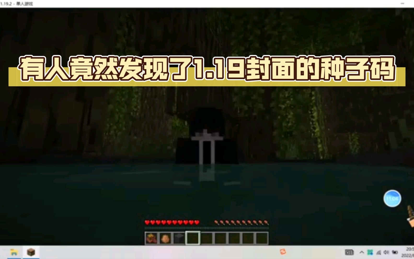有人竟然发现了1.19封面的种子码