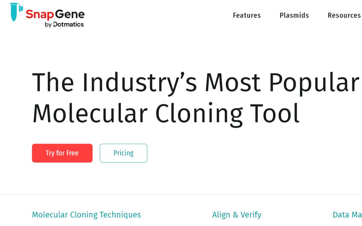 SnapGene V6.02, #4质粒图谱软件导出序列及图谱